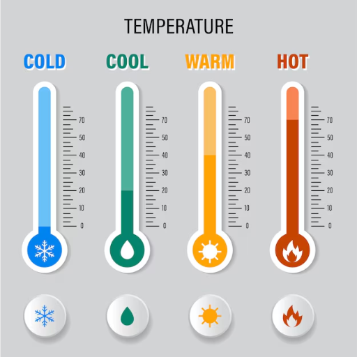 Exploring the Best Instruments for Temperature Measuring - DEMIKS